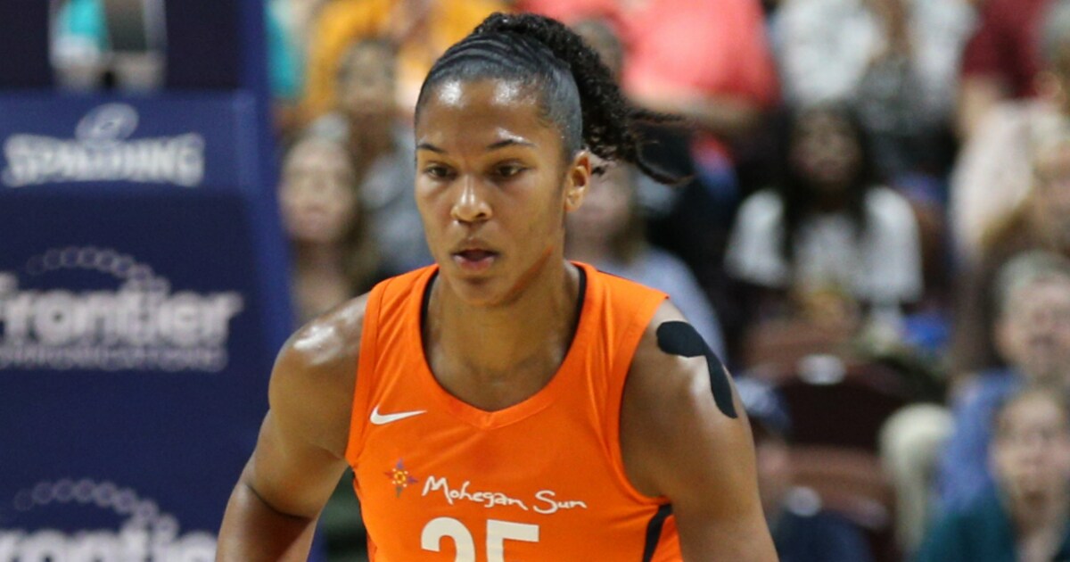 WNBA News for Teams, Players, Games & More | WNBA