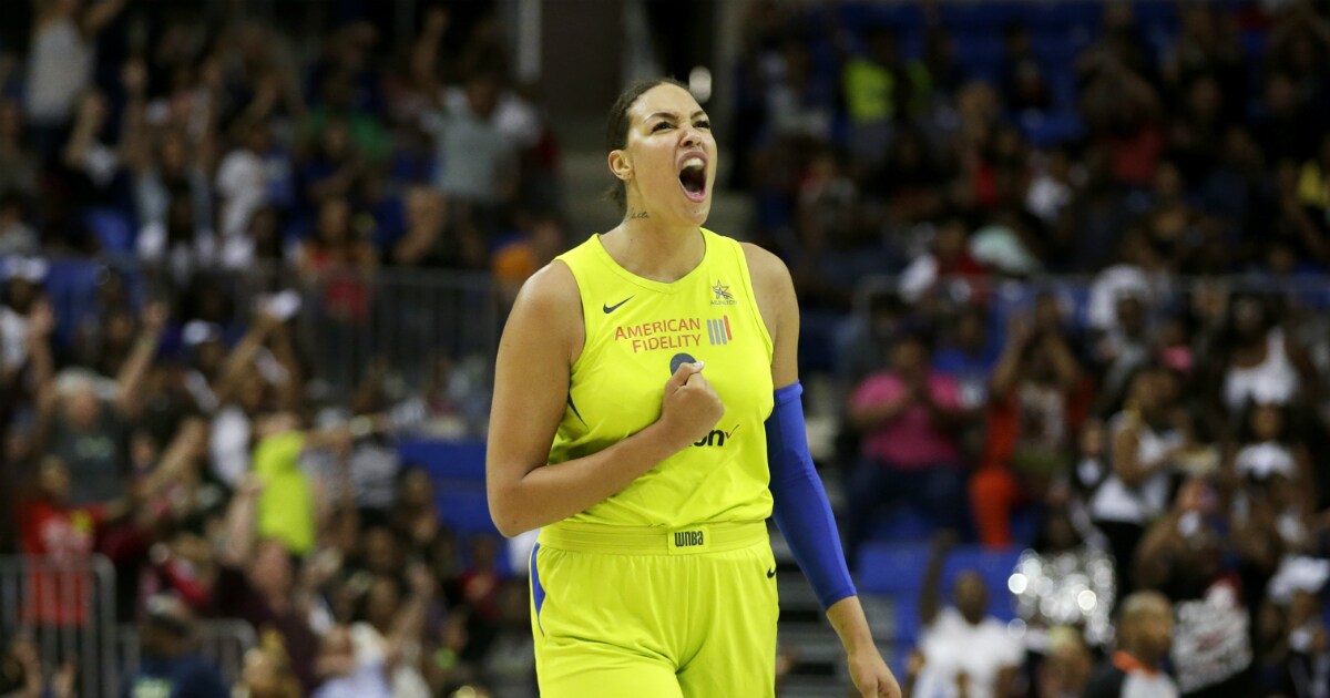 WNBA News for Teams, Players, Games & More | WNBA