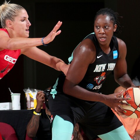 Tayler Hill Stats, Height, Weight, Position, Draft Status and More | WNBA