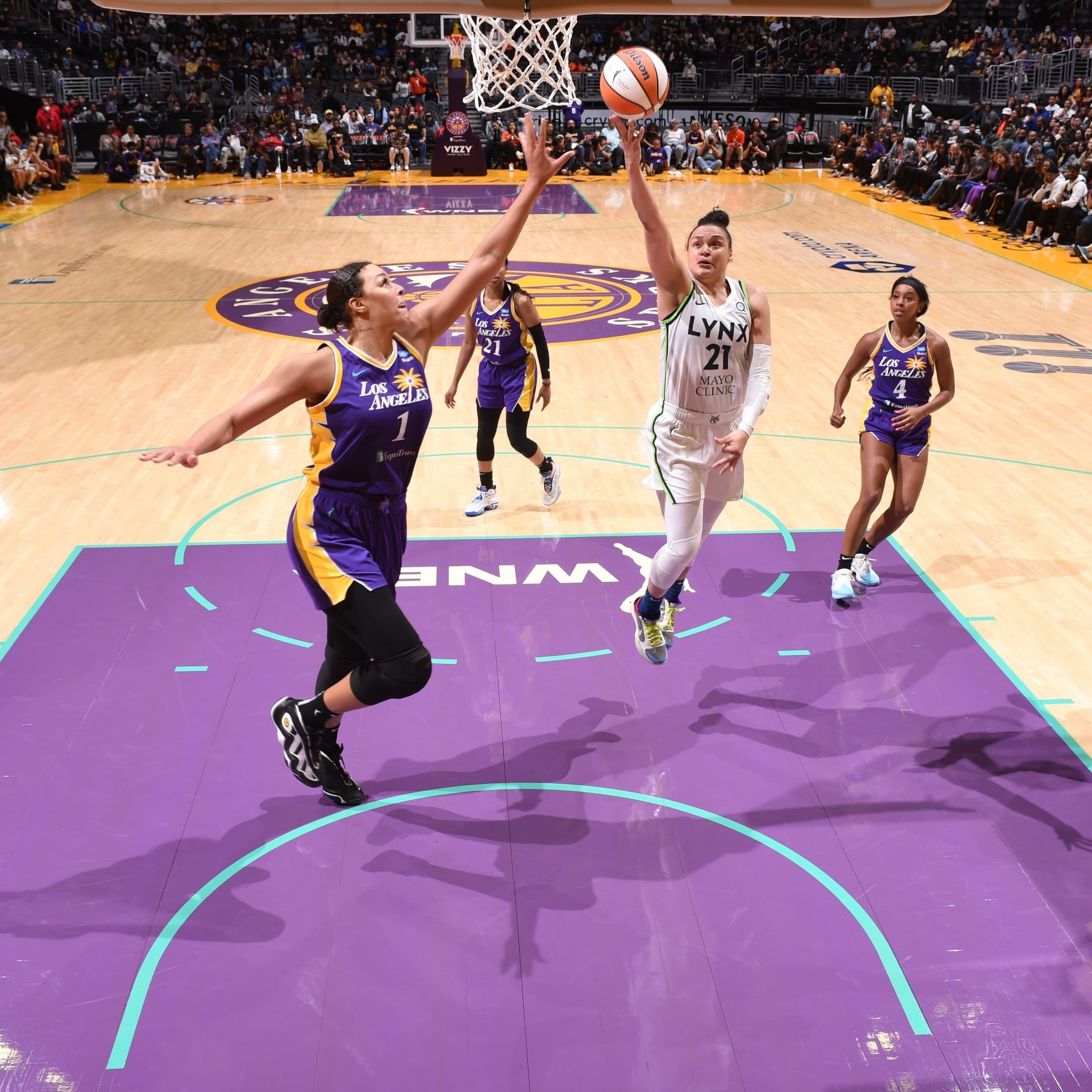 Liz Cambage Stats, Height, Weight, Position, Draft Status and More | WNBA