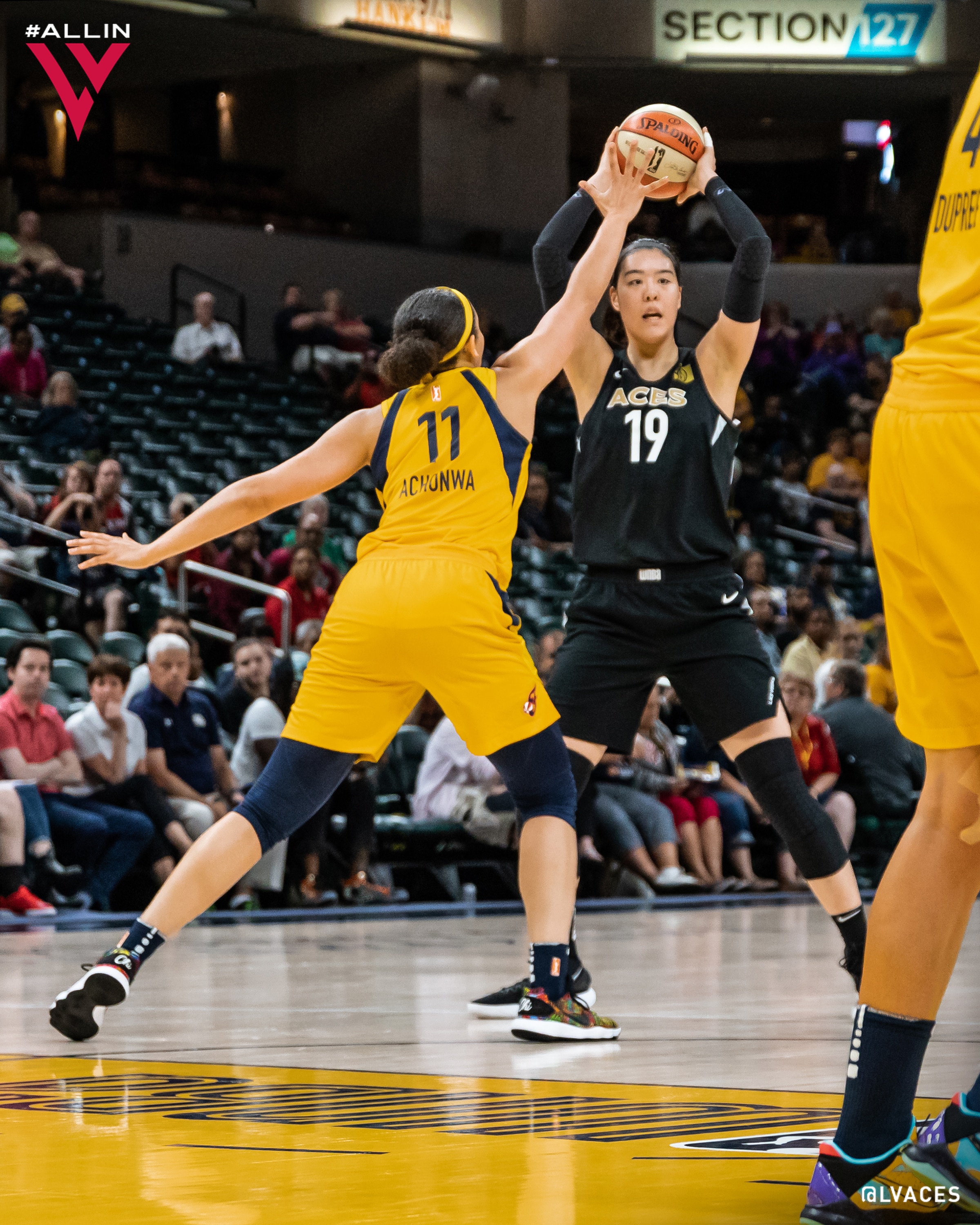 JiSu Park: 2018 Photo Gallery