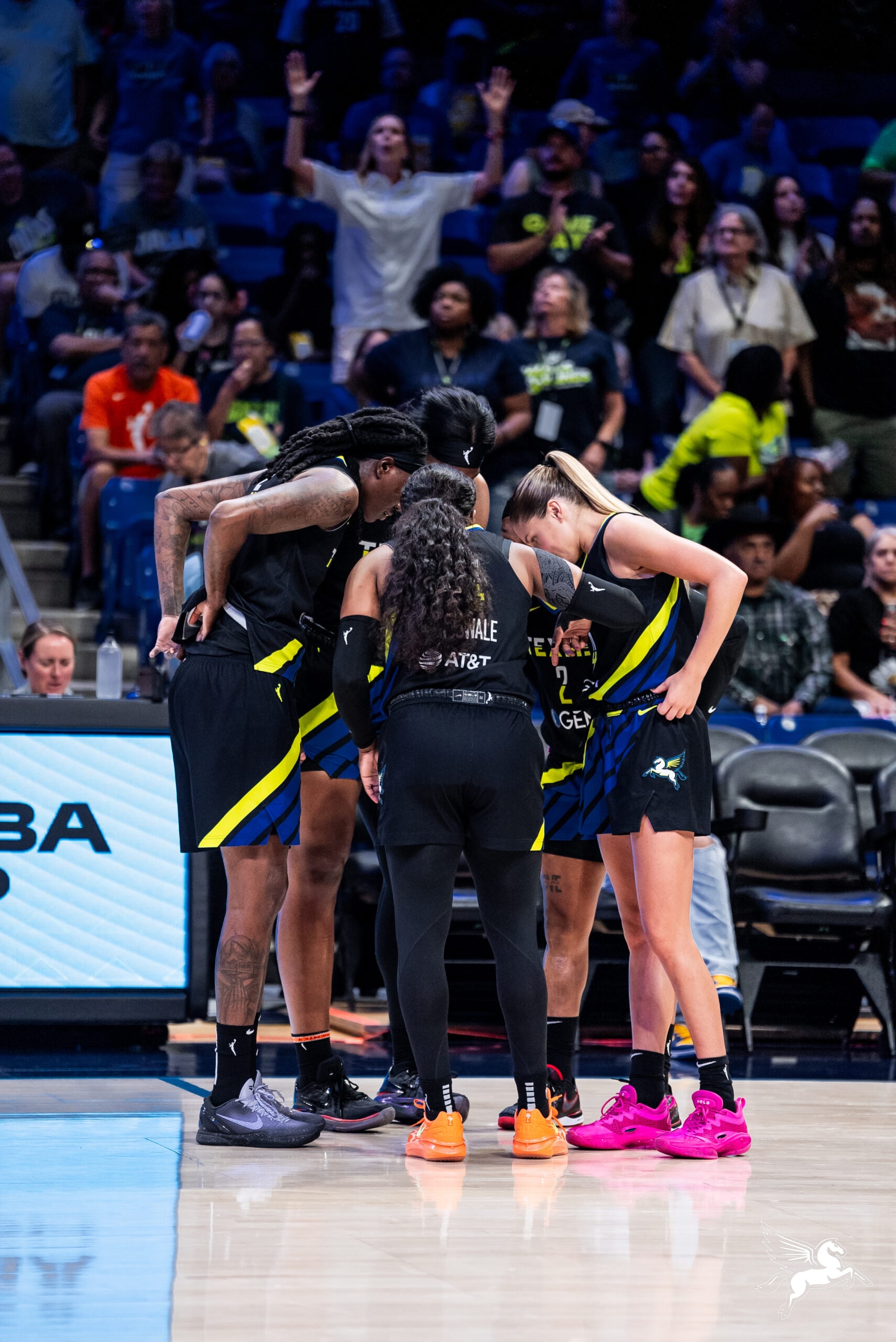 The Official Website of the Dallas Wings | WNBA