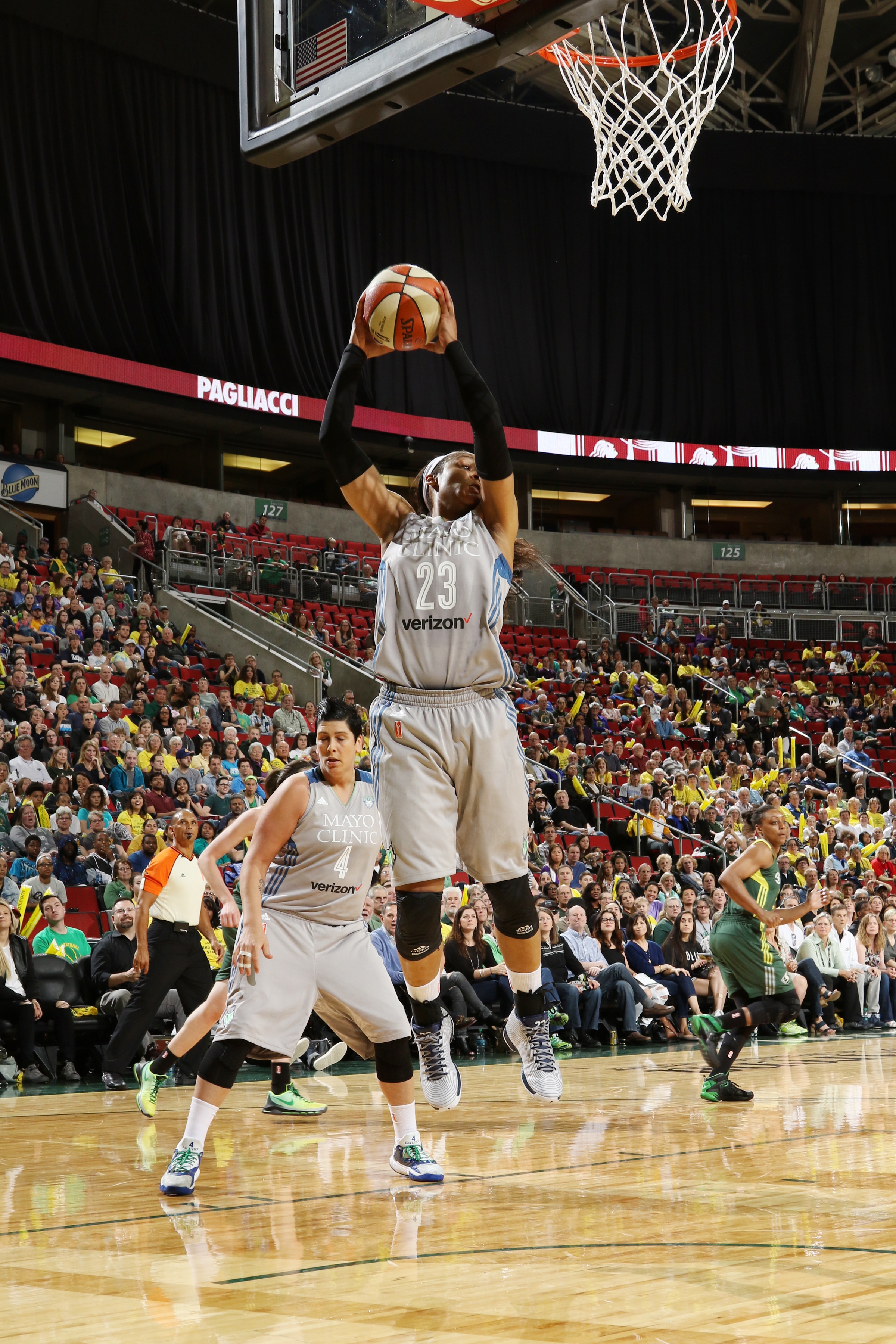 Gallery | Lynx at Seattle