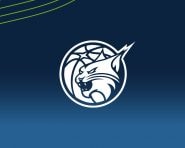 Minnesota Lynx Sign Camryn Taylor, Mimi Collins and Quinesha Lockett to ...