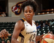 2015 Johnson Gallery