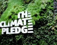 Seattle Storm becomes first WNBA team to sign the Climate Pledge