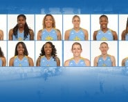 Chicago Sky Set 2016 Roster