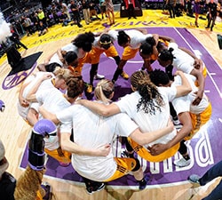 WNBA.com To Offer Advanced Statistics And Every Box Score In League ...