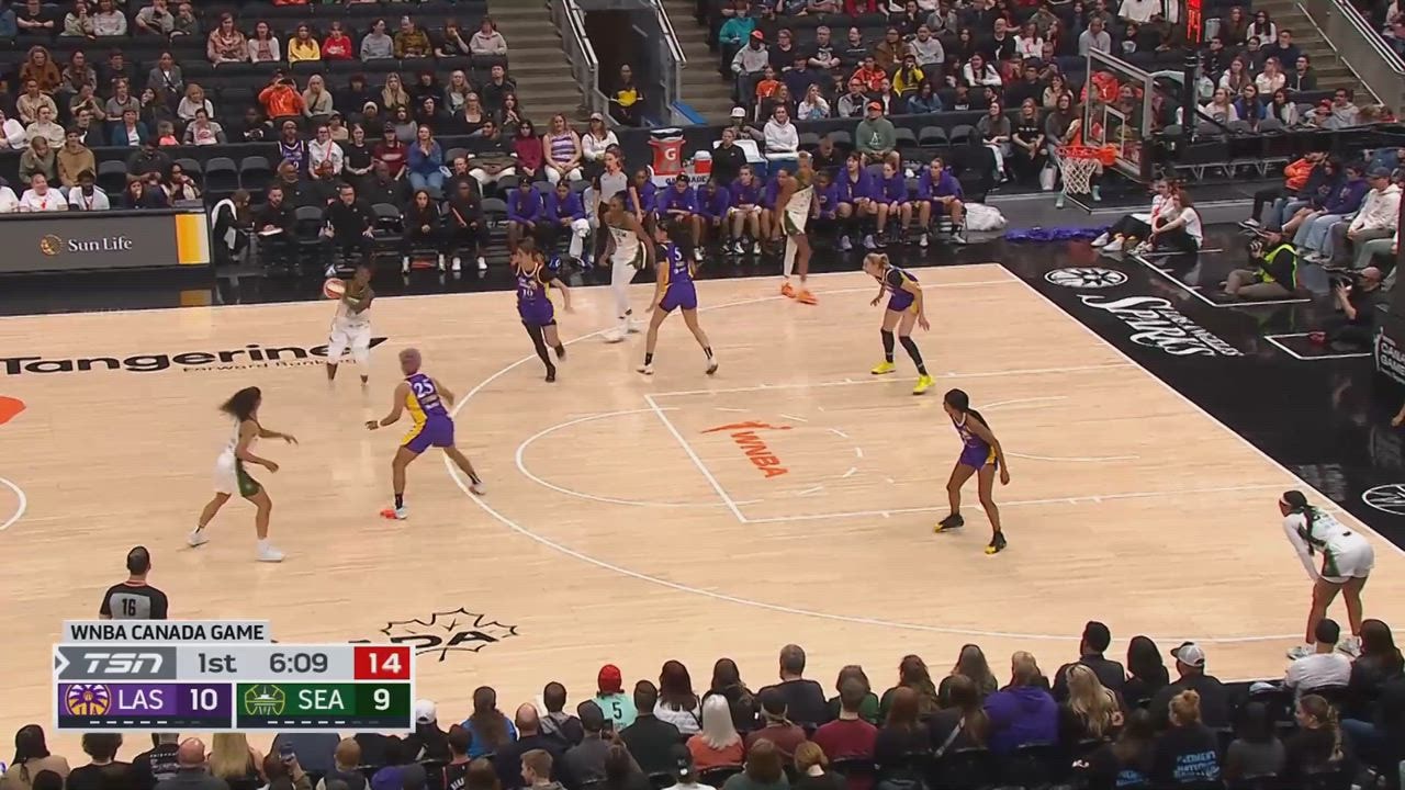 Skylar Diggins-Smith Stats, Height, Weight, Position, Draft Status and ...